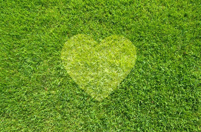 TK Lawns – Lawn Maintenance and Lawn Care